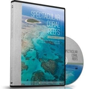 Spectacular Coral Reefs DVD by Dr. Robert Carter | CMI