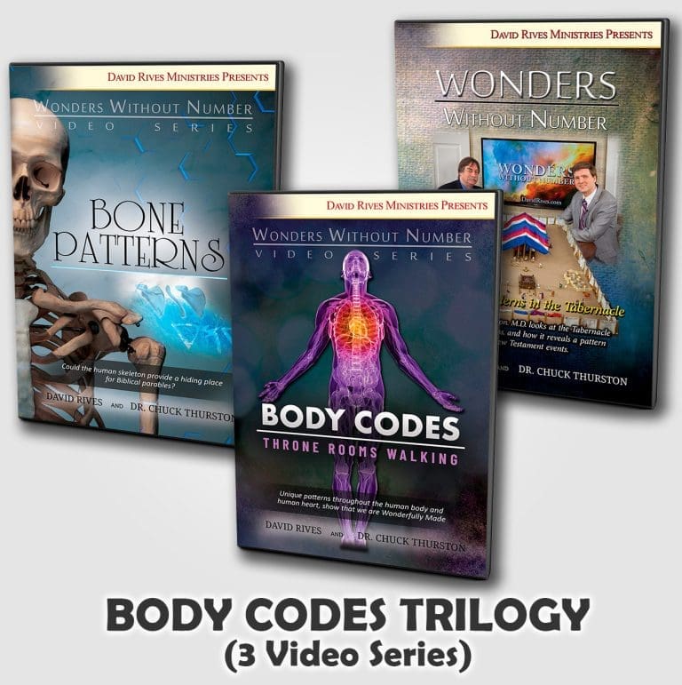 Body Codes Trilogy DVD Set | Creation Superstore
