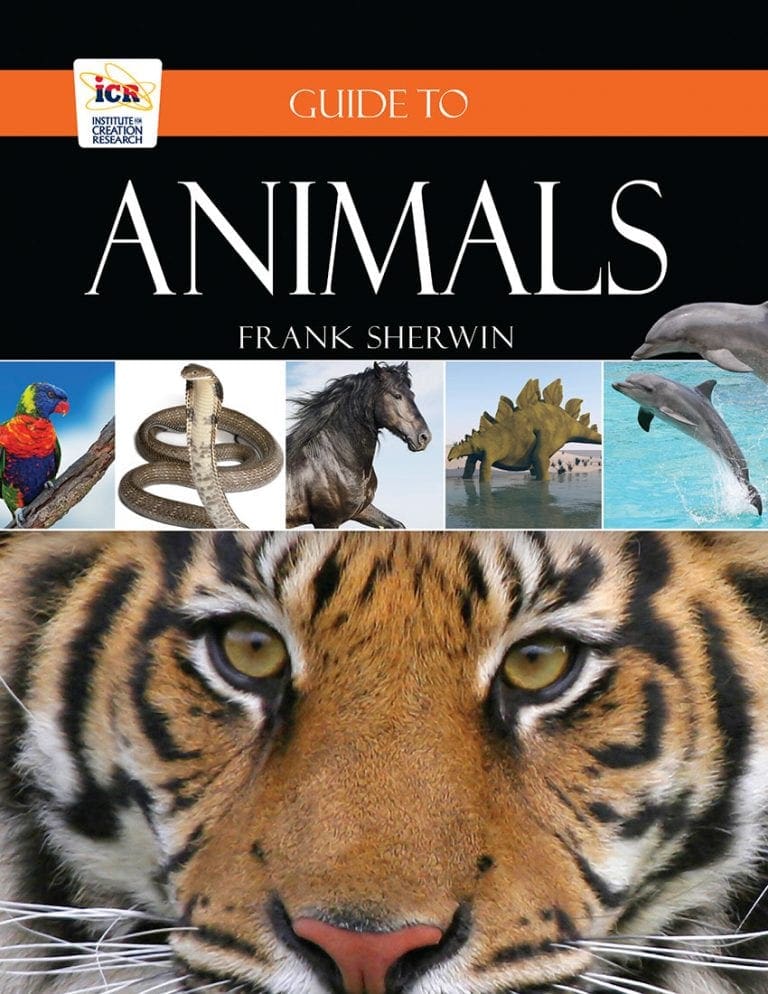 Guide to Creation Series | Book Set | Institute for Creation Research