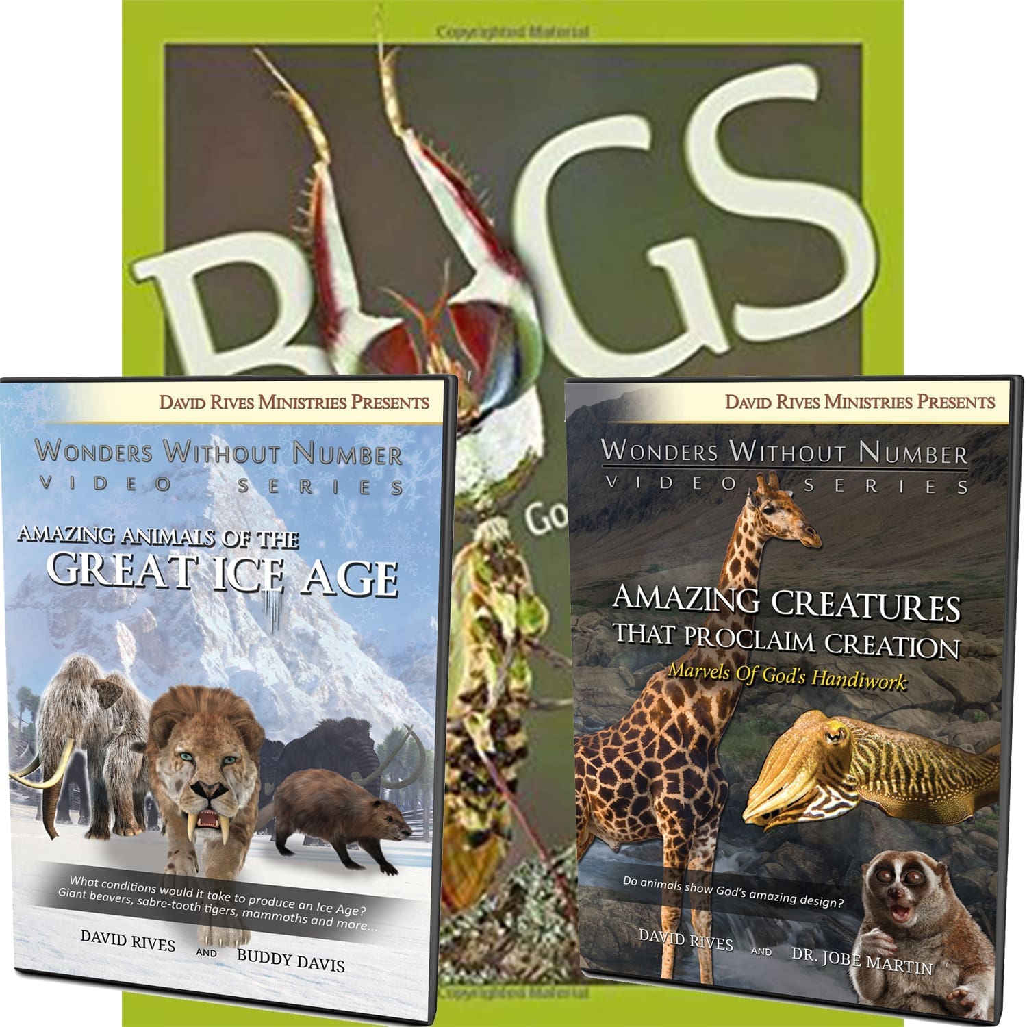 God's Amazing Animal World Book and DVD Pack - The Creation Superstore ...