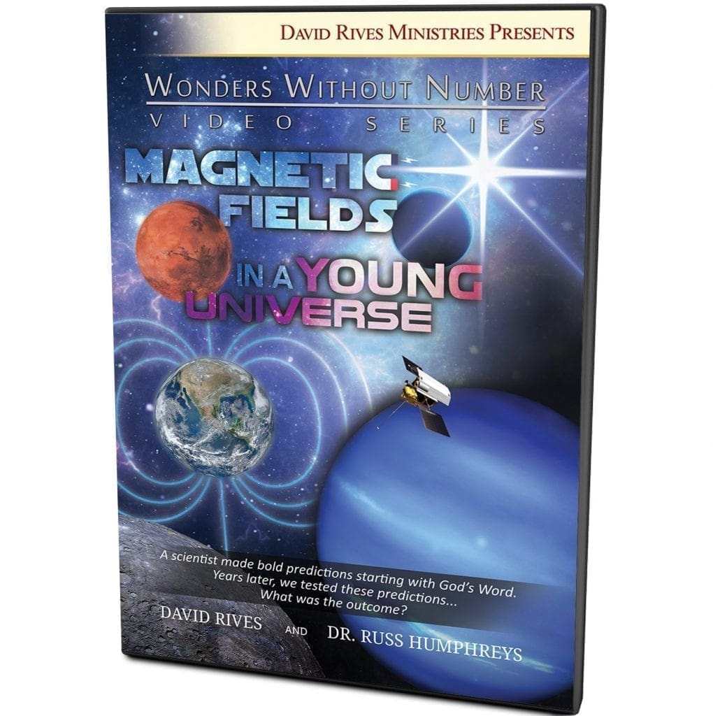 Magnetic Fields in a Young Universe Video | Wonders Without Number