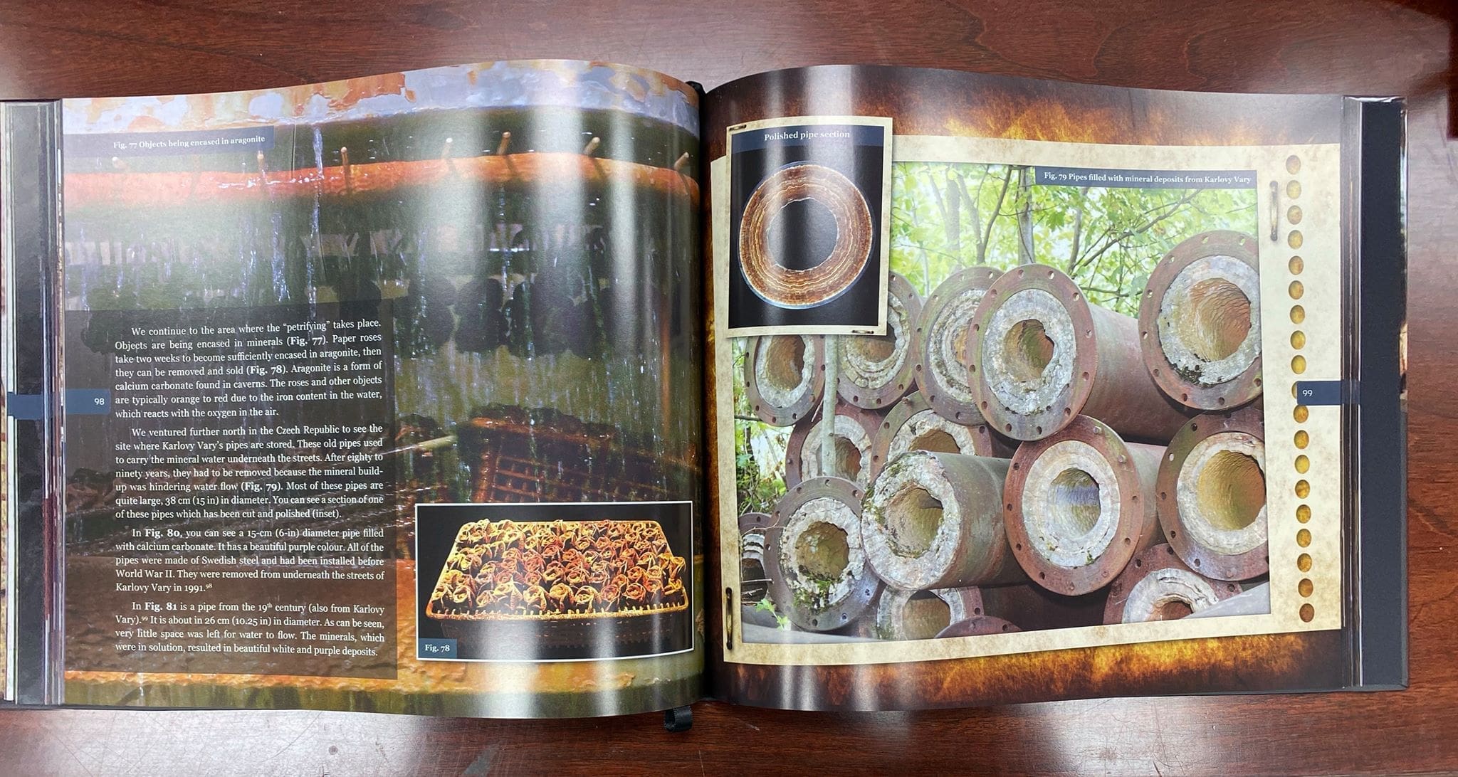 Exploring Cave Formation Book & DVD Bundle