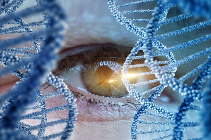 The "Code" of Life and Genetic Entropy - by David Rives
