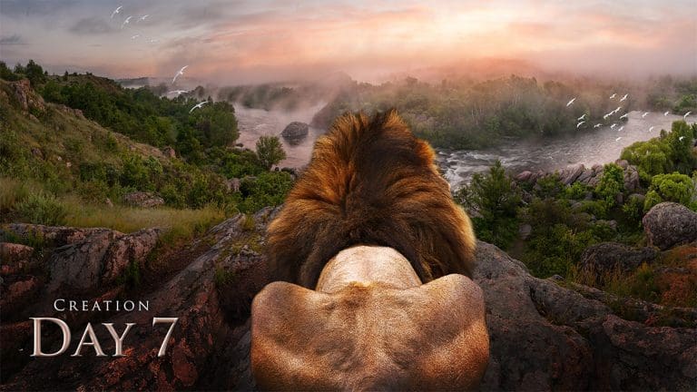 7 Days of Creation Week - Day 7 11" x 17" Art Print