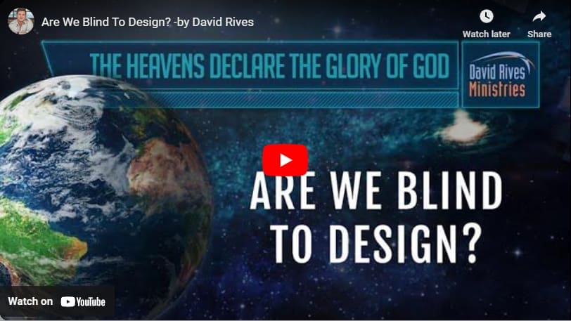 Are We Blind to Design? -by David Rives - The Creation Superstore | By ...