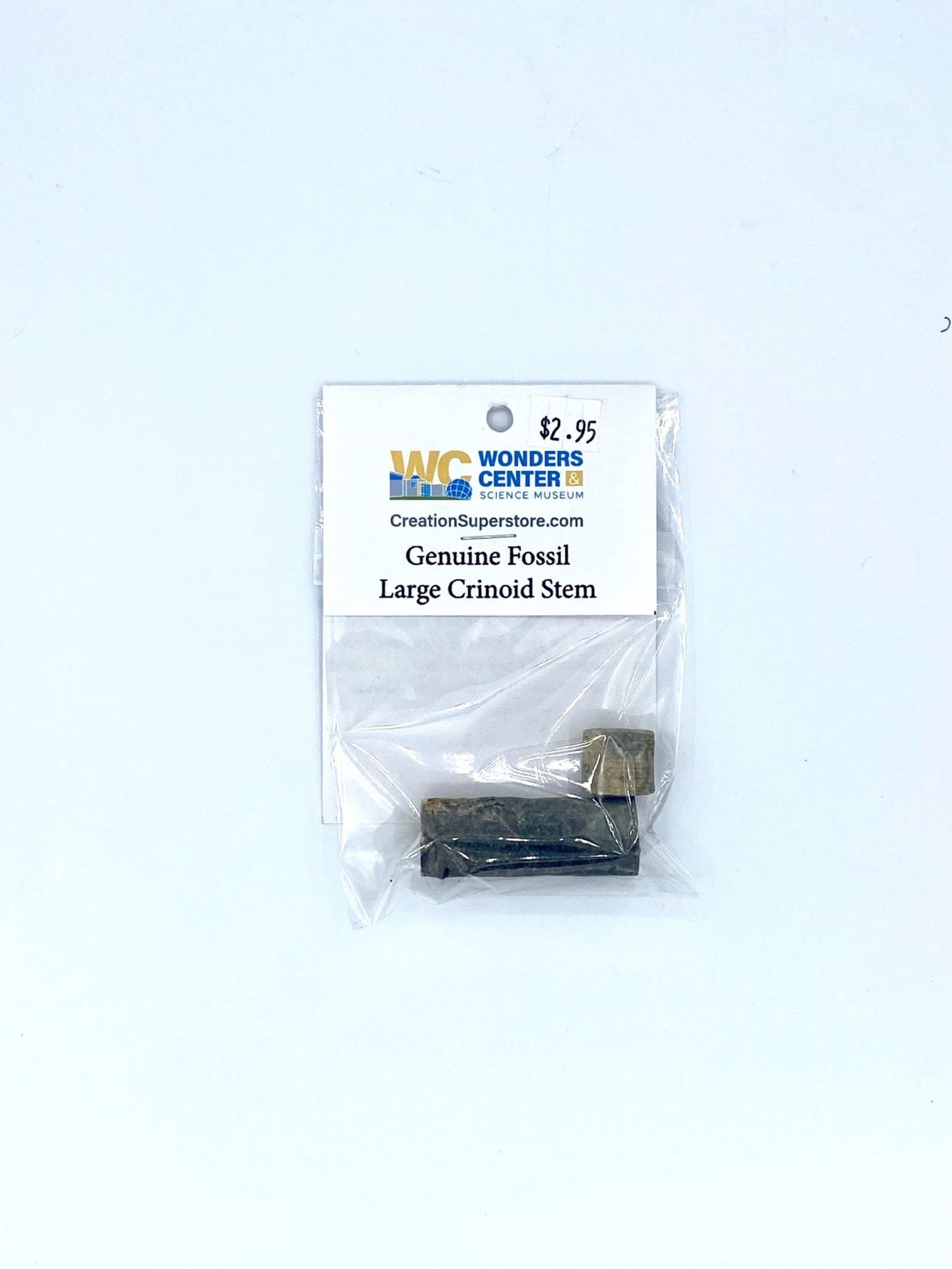 Genuine Fossil Large Crinoid Stem by the Creation Superstore - The ...