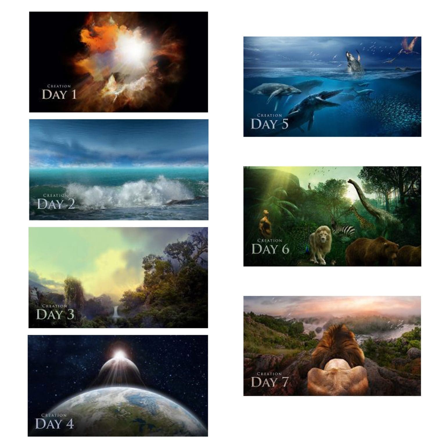 7 Days of Creation Days 1-7 (11" X 17") Art Print by James Nesbit ...