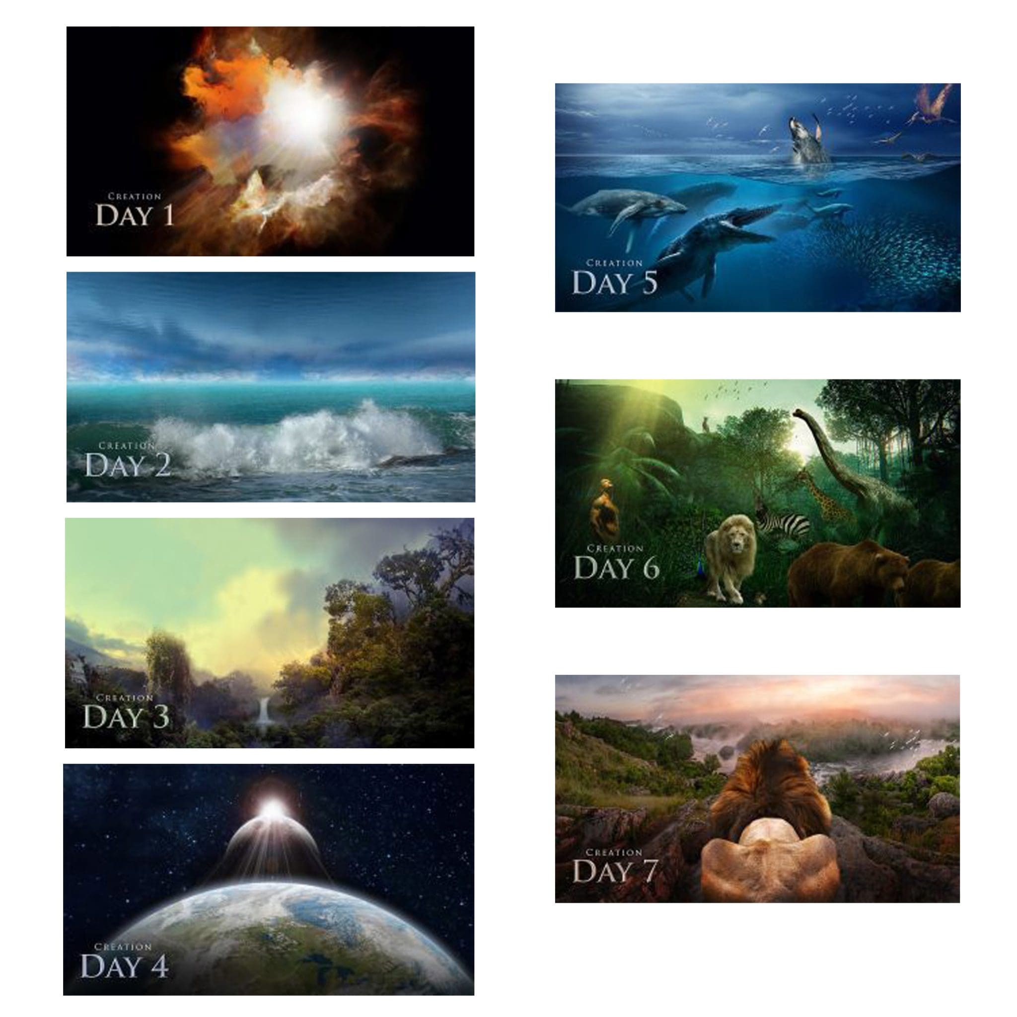 7 Days of Creation Days 1-7 (11" X 17") Art Print by James Nesbit ...