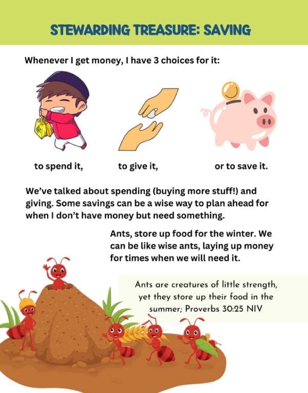 God Designed Stewardship by Katherine Hannon | CP